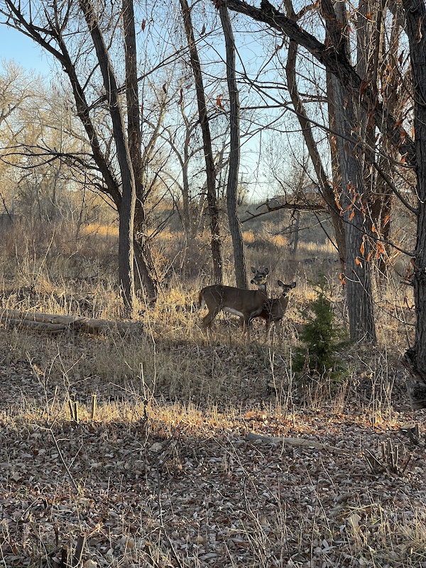 Metro Denver Century Loop Mountain Biking Route | Trailforks