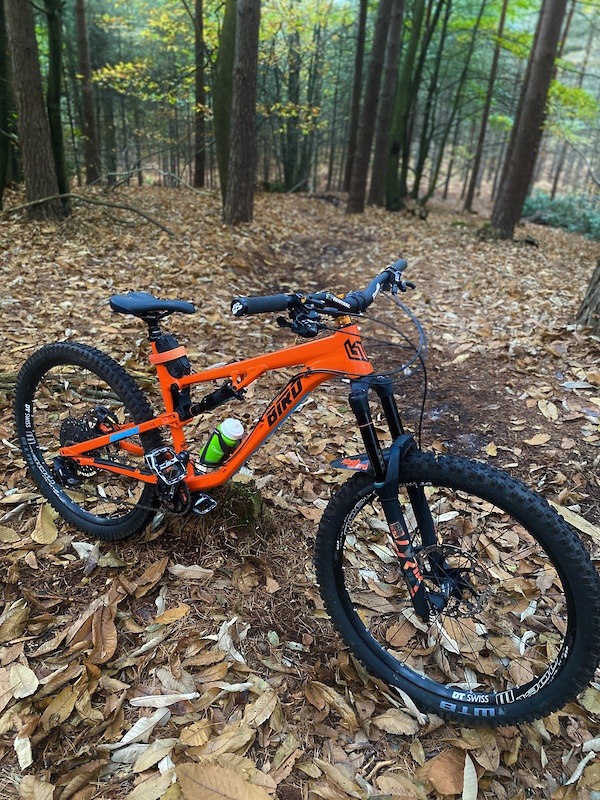 Bird Aeris size Large For Sale