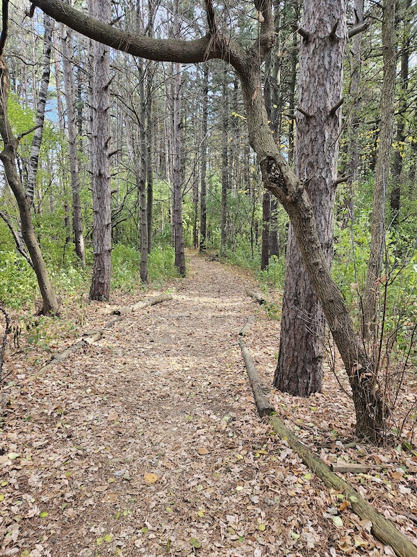 T2 to T1 Hiking Trail - Madison, Wisconsin | Trailforks