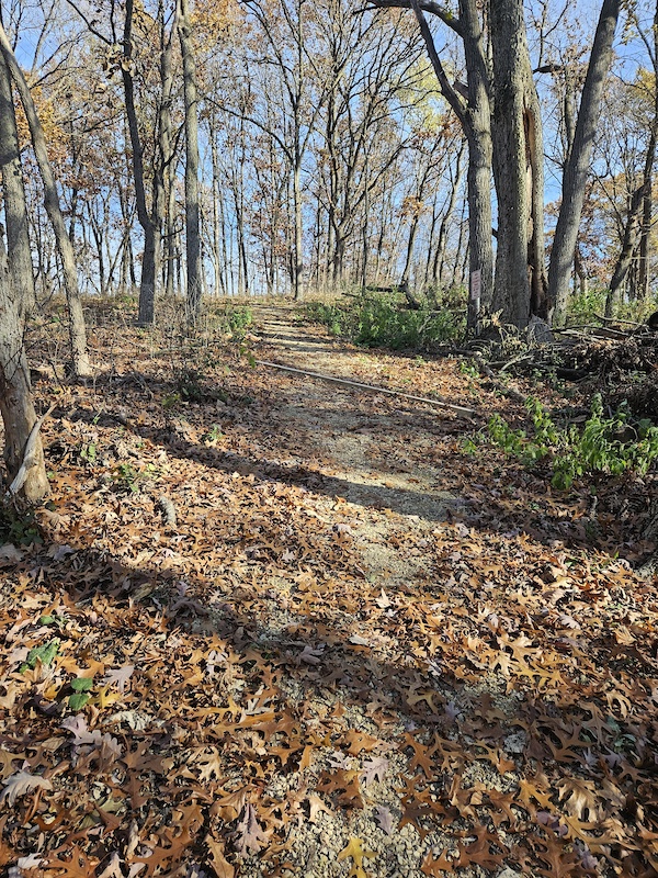 Knollwood Main Trail Hiking Trail - Madison, Wisconsin