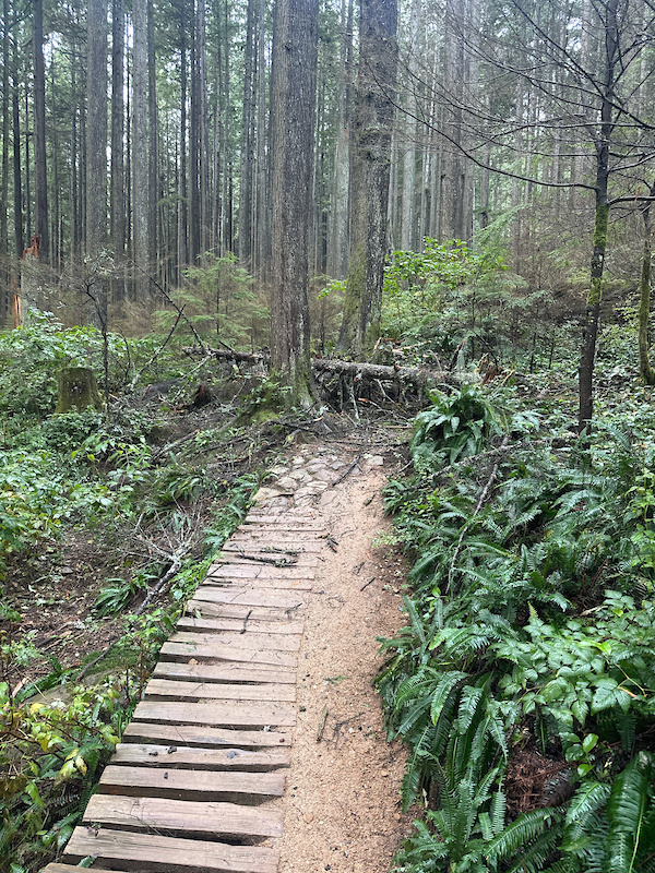 Nov 14, 2023 Floppy Bunny Trail Report | Trailforks