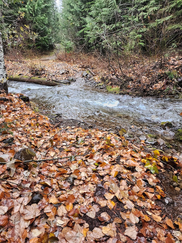 Devil's Ladder 50k - 2022 Trail Running Route | Trailforks