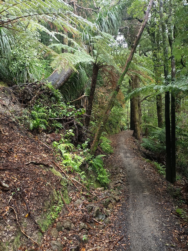 Mohaka Meander Multi Trail - Lower Hutt | Trailforks