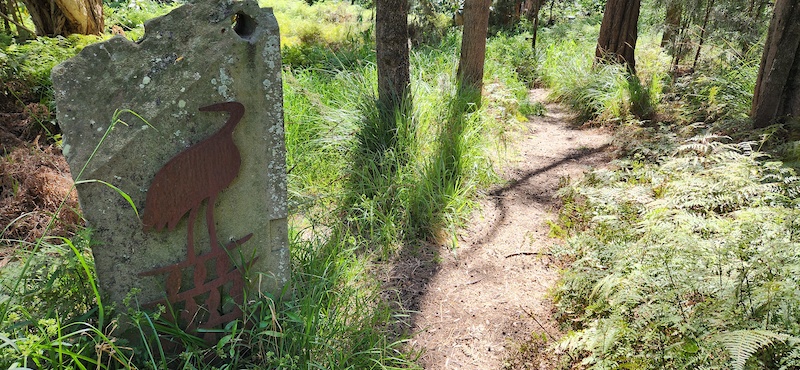 Flying Foxes Hiking Trail - | Trailforks