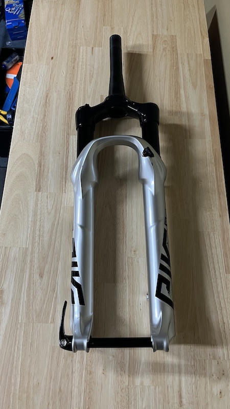 2022 Rockshox Pike DJ SILVER For Sale