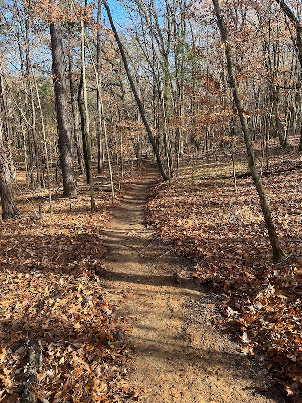 Legacy Loop Trail Mountain Biking Trail - Huntsville