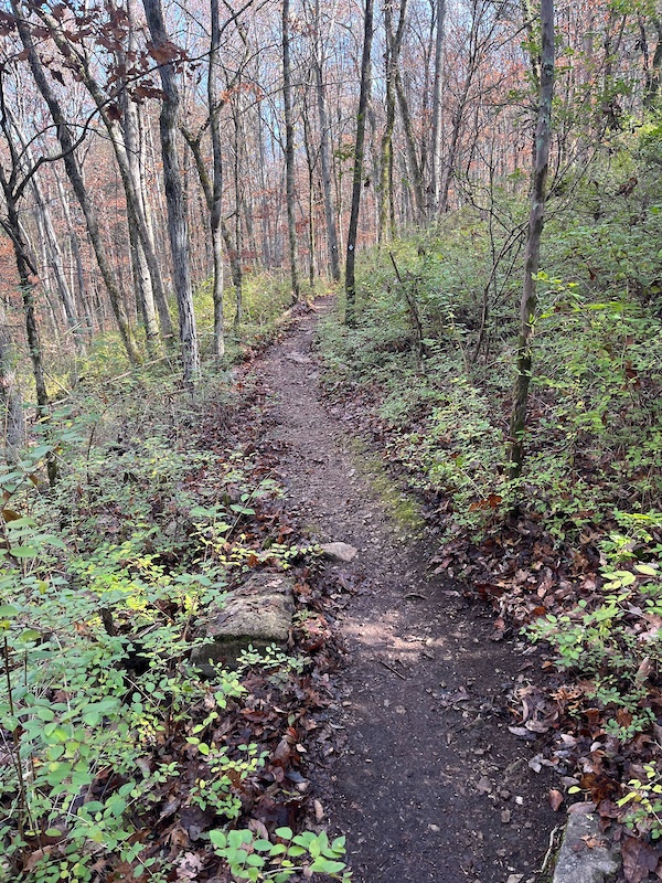 Legacy Loop Trail Mountain Biking Trail - Huntsville