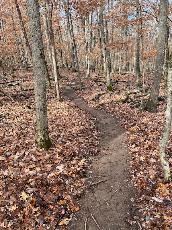 Legacy Loop Trail Mountain Biking Trail - Huntsville