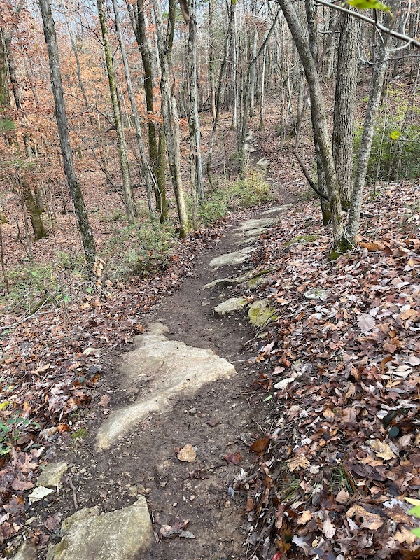 Legacy Loop Trail Mountain Biking Trail - Huntsville