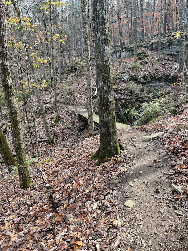 Legacy Loop Trail Mountain Biking Trail - Huntsville