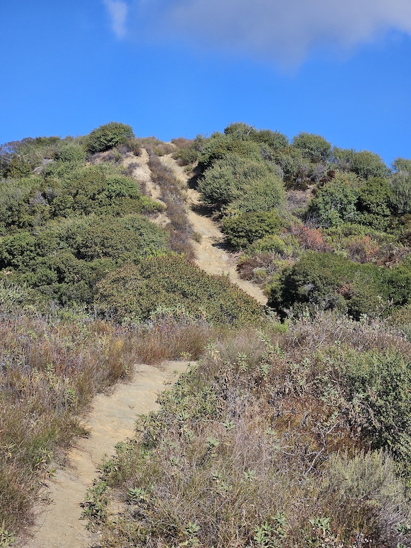 Upper Colby Trail Mountain Biking Trail - - California