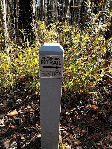 Whitehurst trail Multi Trail - Virginia Beach, Virginia