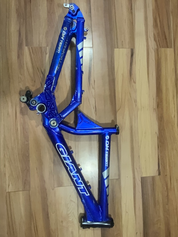 2005 Giant DH Team frame 2002 For Sale