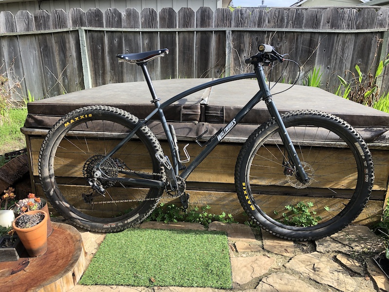 2023 Walt Works Steel 29er For Sale