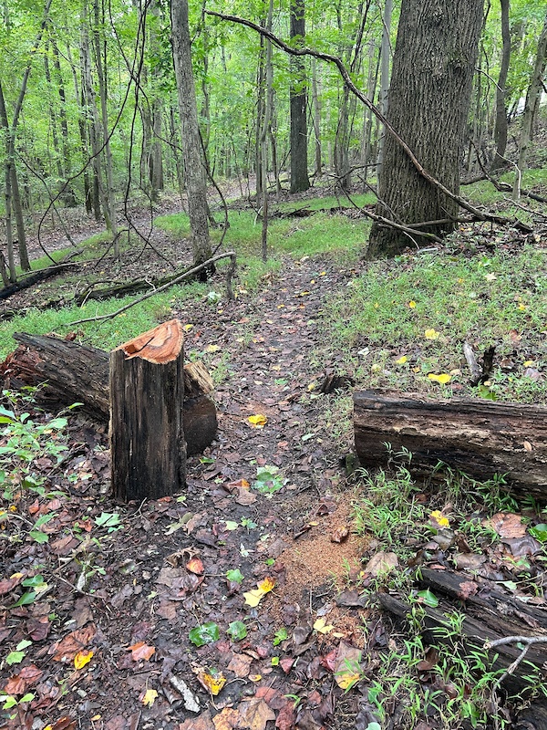 Mason-Dixon Trail: North East Section Multi Trail - - Maryland