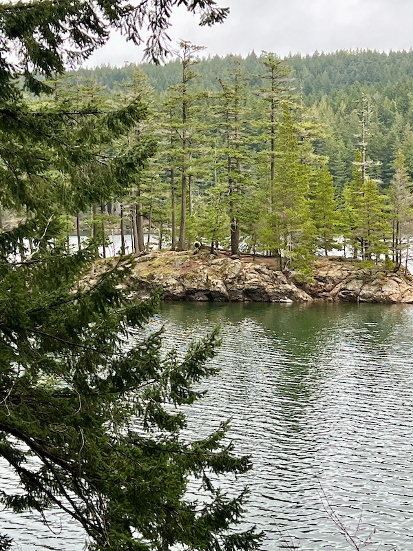 Mountain Lake Loop Trail Hiking Trail - Eastsound, WA