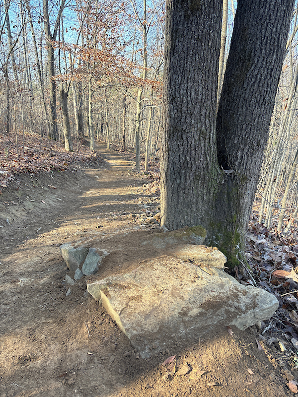 Dragon Multi Trail - Aspire Park, Clinton, Tennessee