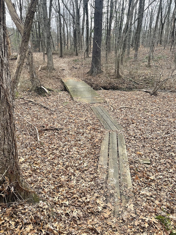 Wapping Park Hiking Trails | Trailforks