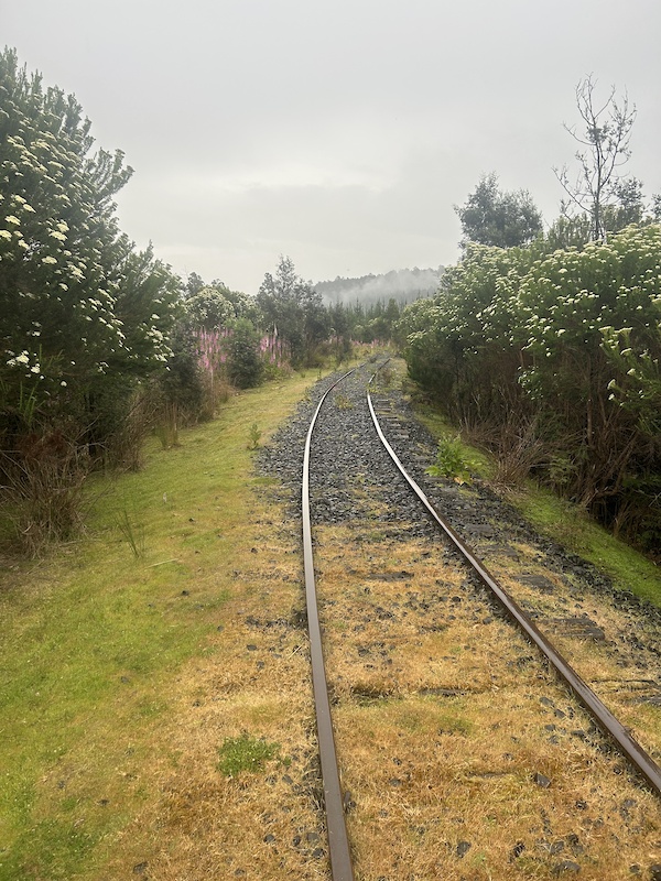 Rail Track Riders, Maydena to Pig & Whistle Multi Trail