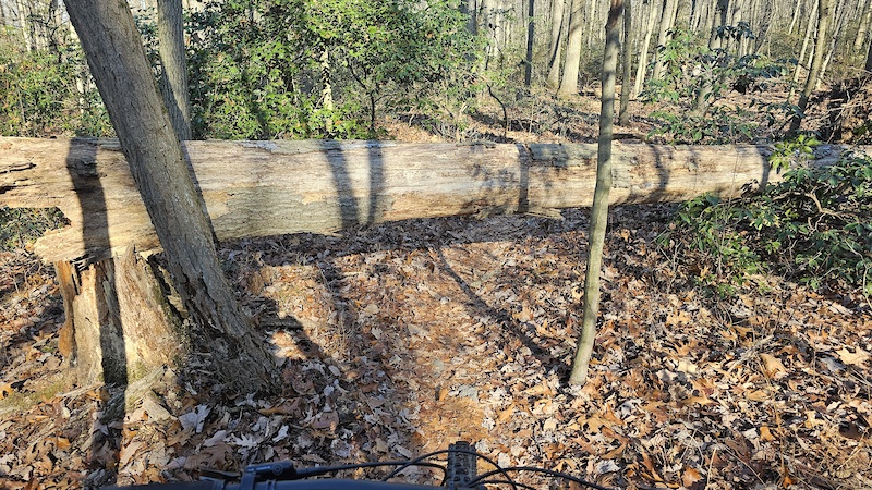 Easy Peasy Multi Trail - York, Pennsylvania | Trailforks