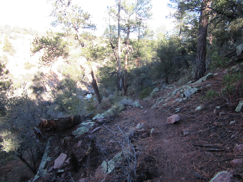 Zeek To Rim Mountain Biking Trail - Payson, Arizona