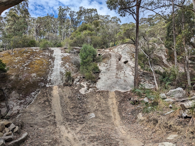 Cuddles Mountain Biking Trail - Blue Derby, Derby