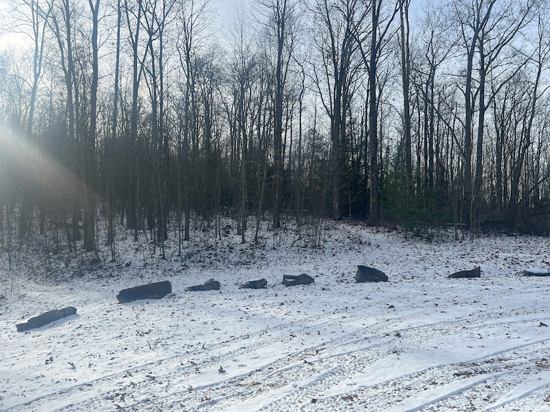 Seneca State Forest Mountain Biking Trails | Trailforks