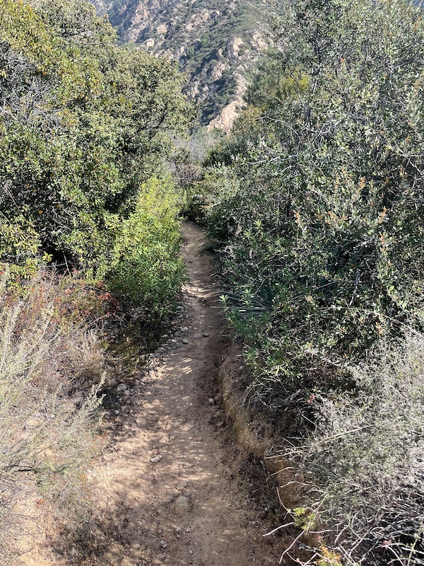Castle Canyon Trail Hiking Trail - Altadena, CA