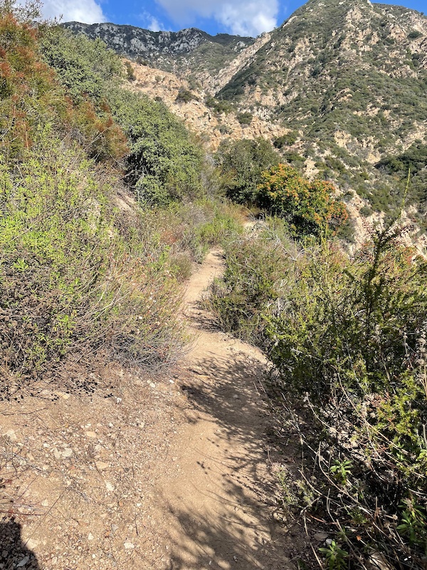 Castle Canyon Trail Hiking Trail - Altadena, CA