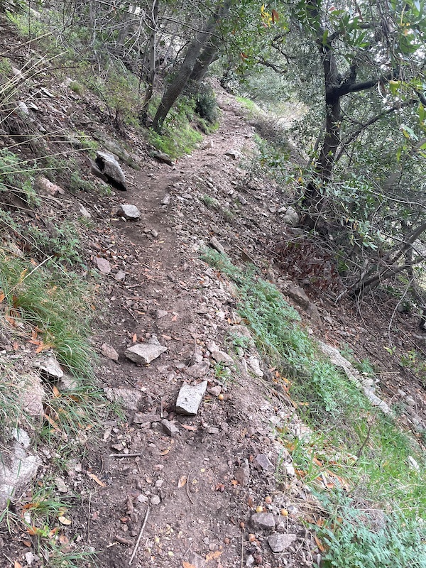 Castle Canyon Trail Hiking Trail - Altadena, CA