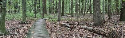 Five Mile Trail Hiking Trail - Yardley, Pennsylvania
