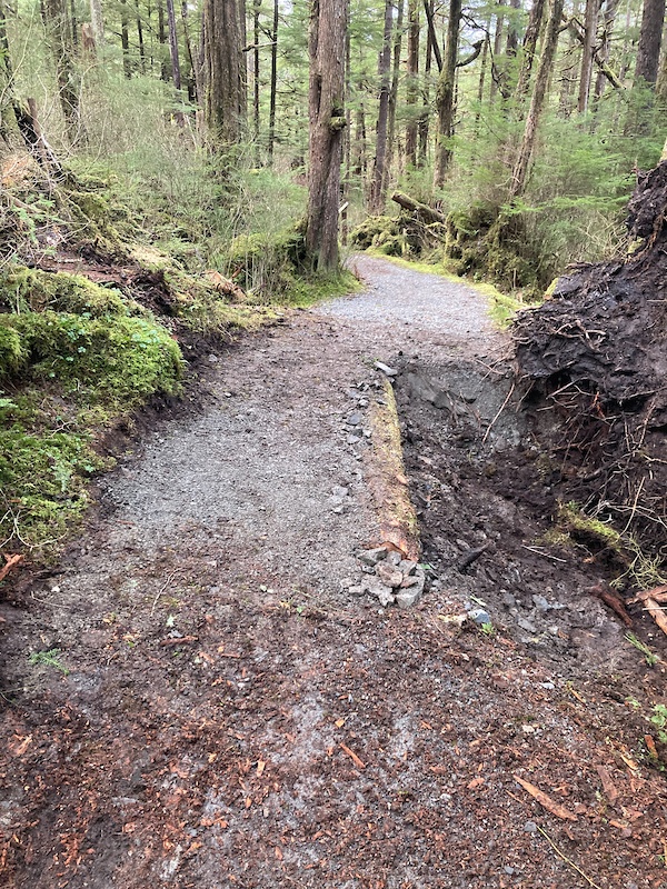 Ben Grussendorf Forest And Muskeg Trail Multi Trail Sitka 8603