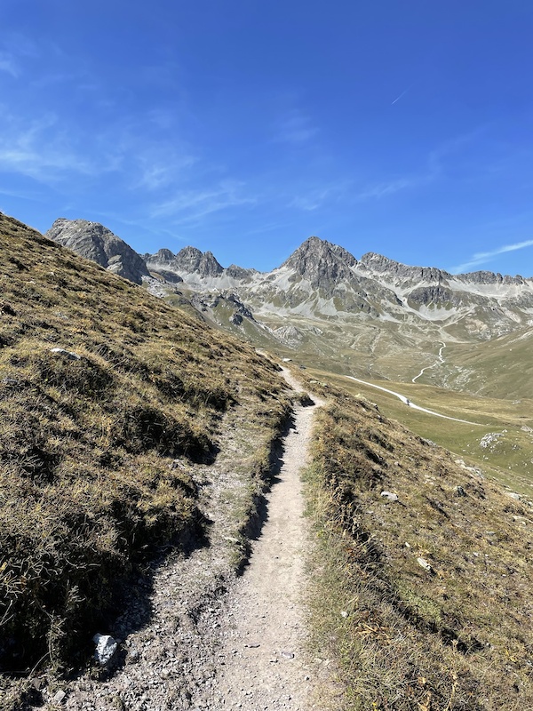 Lej Alv - Corviglia Singletrail Section 2 Multi Trail - St. Moritz