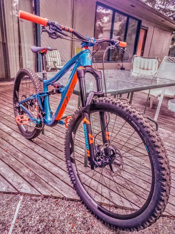 2021 Frame up build Ibis Ripmo v1 medium For Sale