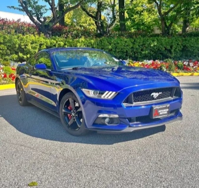 2015 Mustang GT 5.0 Fastback For Sale