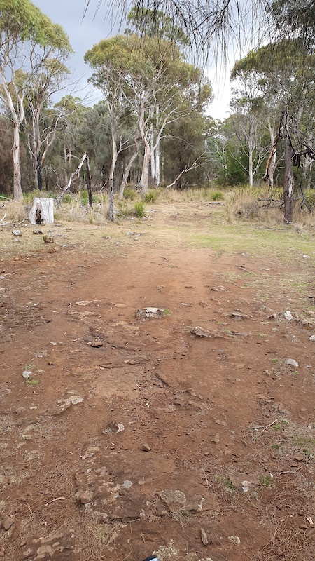 Bandicoot Track Mountain Biking Trail - Launceston