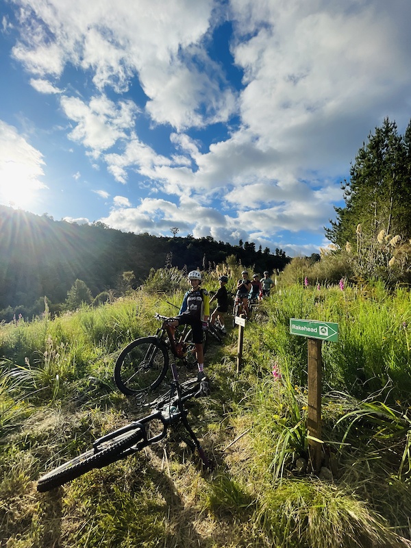 Connector Trail between Rake Head - Crank - Bent Spokes Multi Trail ...