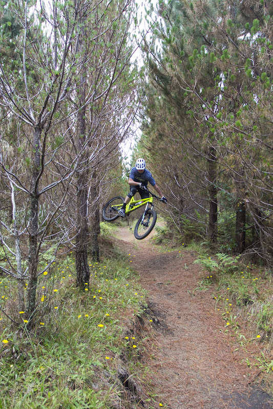 Cog Wild Mountain Biking Trail - National Park