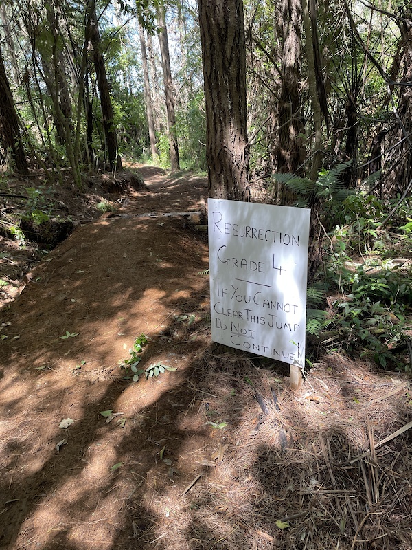 Resurrection Mountain Biking Trail - Pirongia