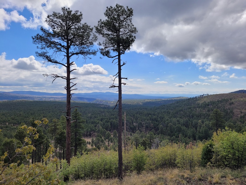 Loco Mountain Trail Multi Trail - Silver City, New Mexico