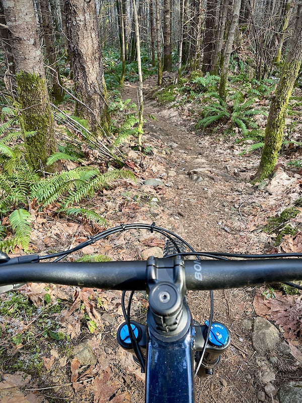 Rocket Queen Mountain Biking Trail - Campbell River