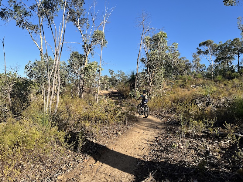 Noolbenger North Loop Mountain Biking Trail
