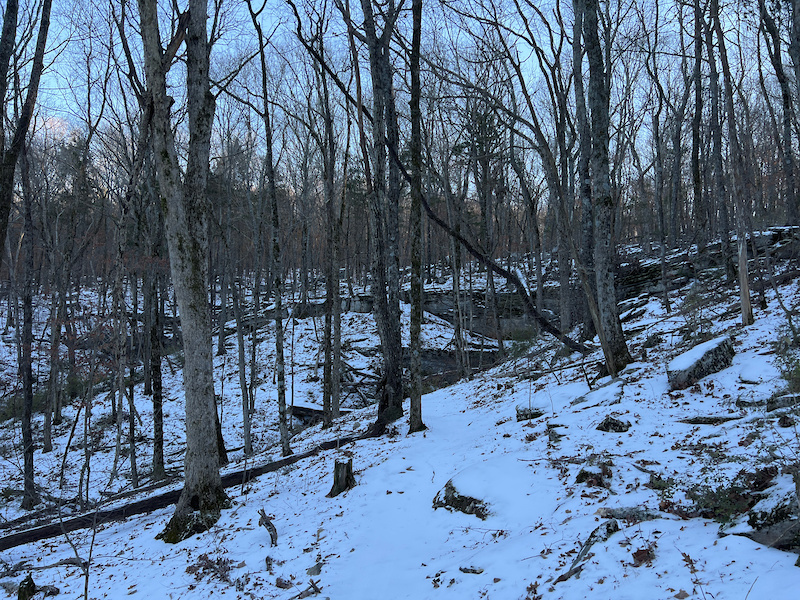 Legacy Loop Trail Mountain Biking Trail - Huntsville