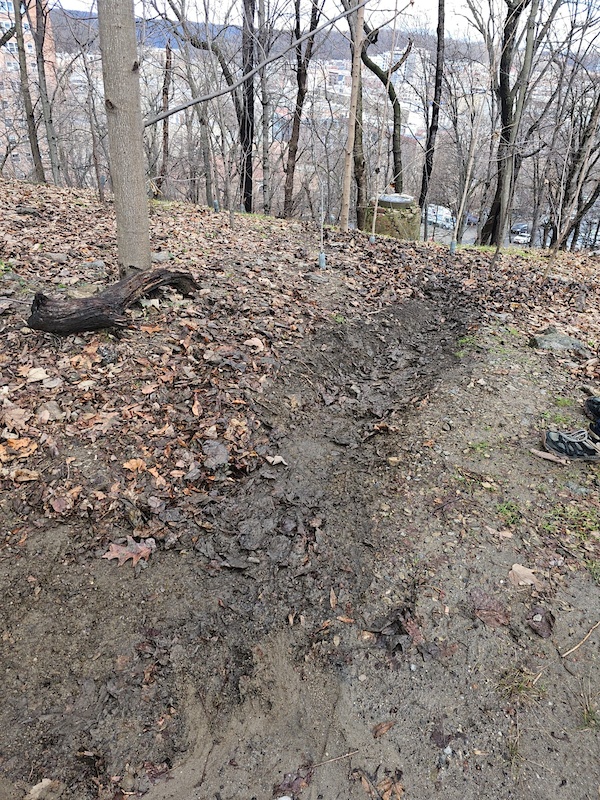 Cyclone (Red Trail) Mountain Biking Trail - Staten Island
