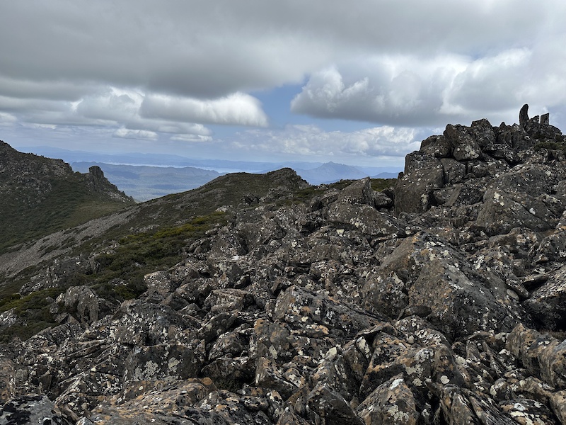 Mt Mueller, the bush way Hiking Trail - Maydena