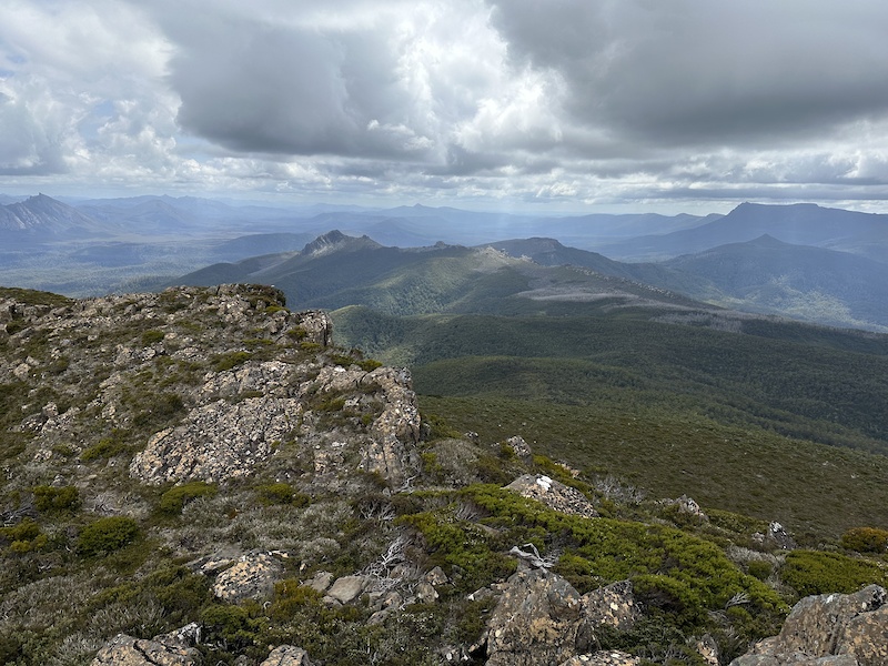 Mt Mueller, the bush way Hiking Trail - Maydena