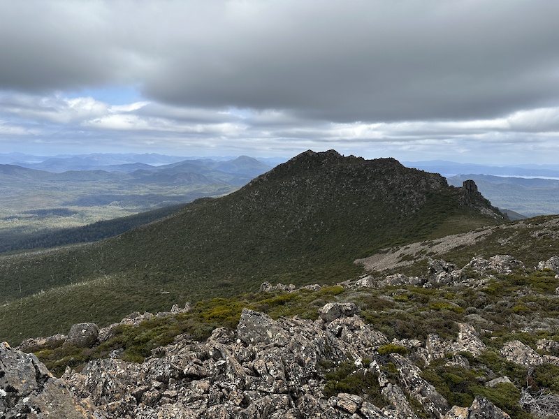 Mt Mueller, the bush way Hiking Trail - Maydena