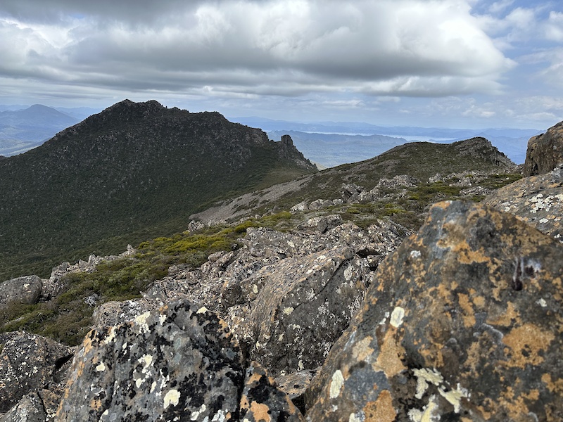 Mt Mueller, the bush way Hiking Trail - Maydena