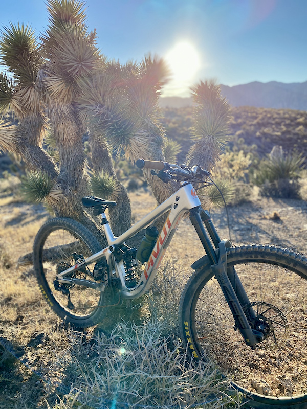 2023 Pivot Firebird Pro X0 Build Medium For Sale