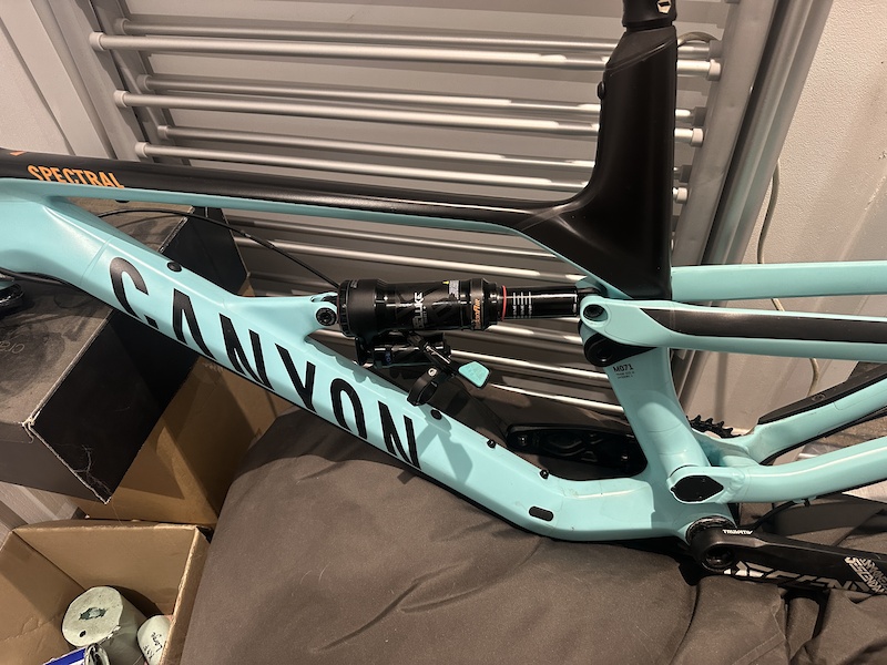 2021 Canyon spectral cf frame For Sale